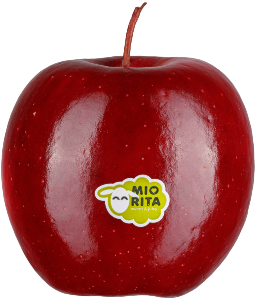 Story® Inored - Miorita